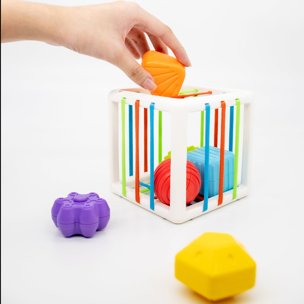 Shape Sorting for Babies – The Growing Brain PH